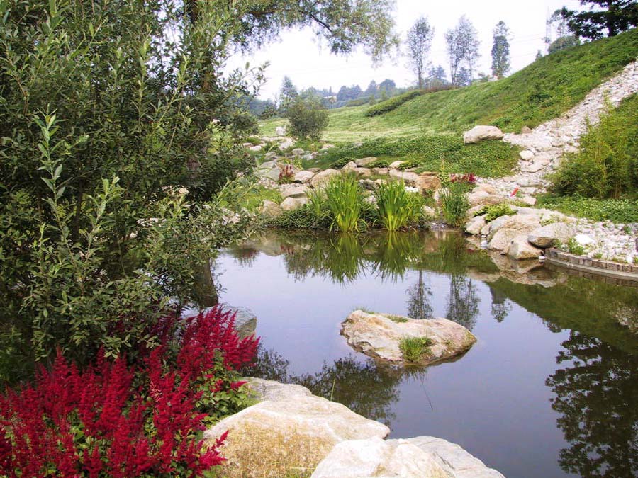 Peverelli design, construction and maintenance of green - Water gardens