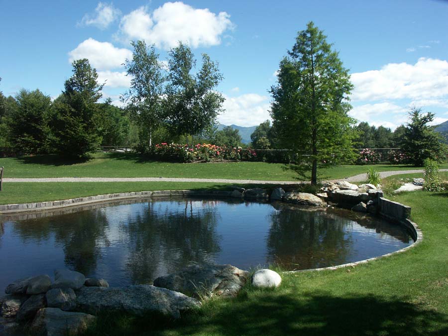 Peverelli design, construction and maintenance of green - Water gardens