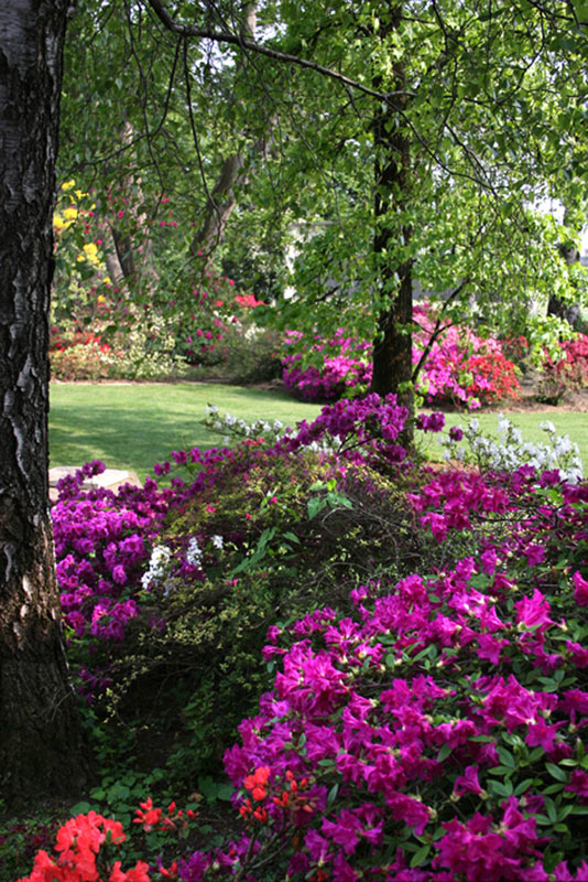 Peverelli design, construction and maintenance of green - spring colours