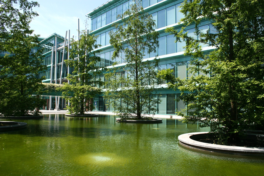 Peverelli design, construction and maintenance of green - centro ...